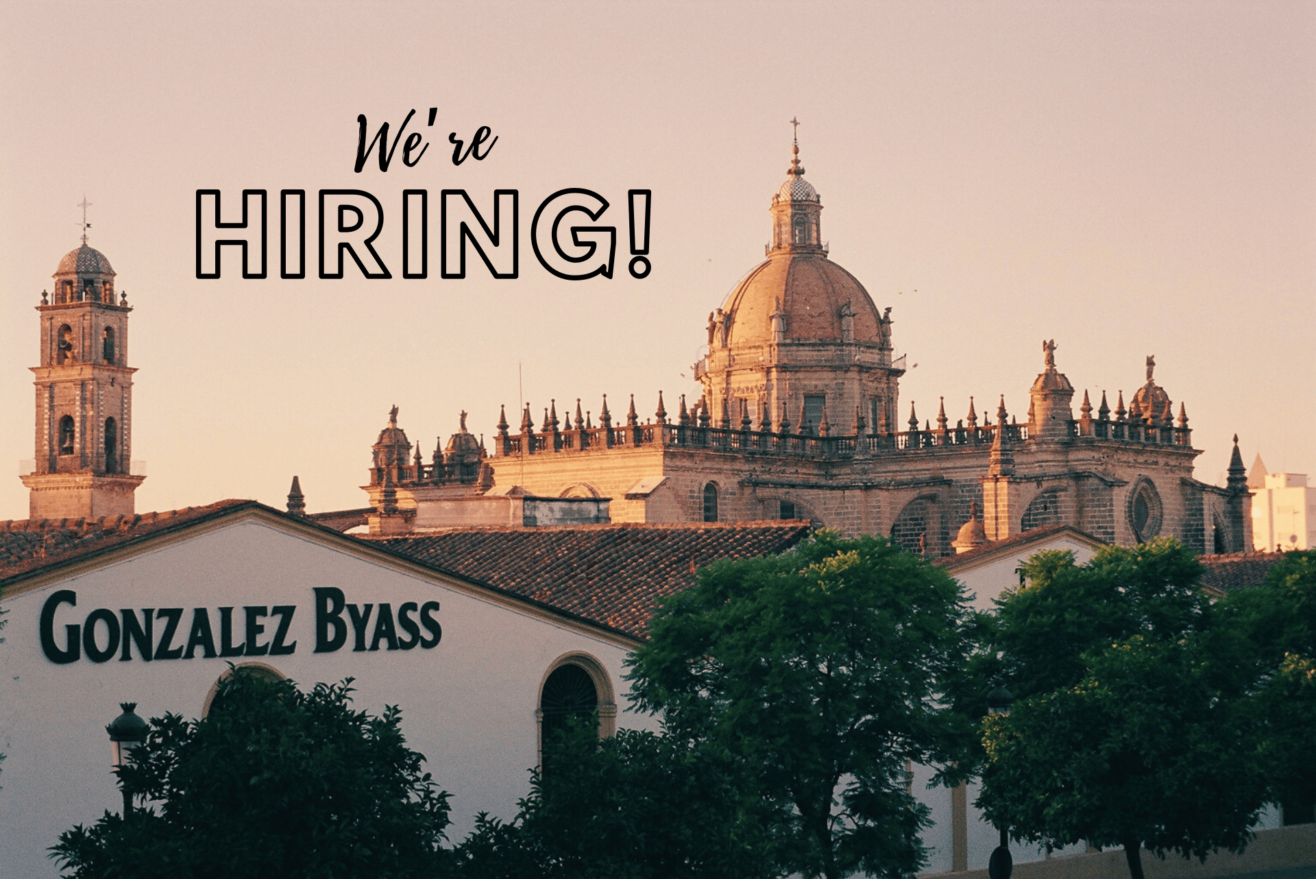 Business Development Manager Vacancy - London | González Byass